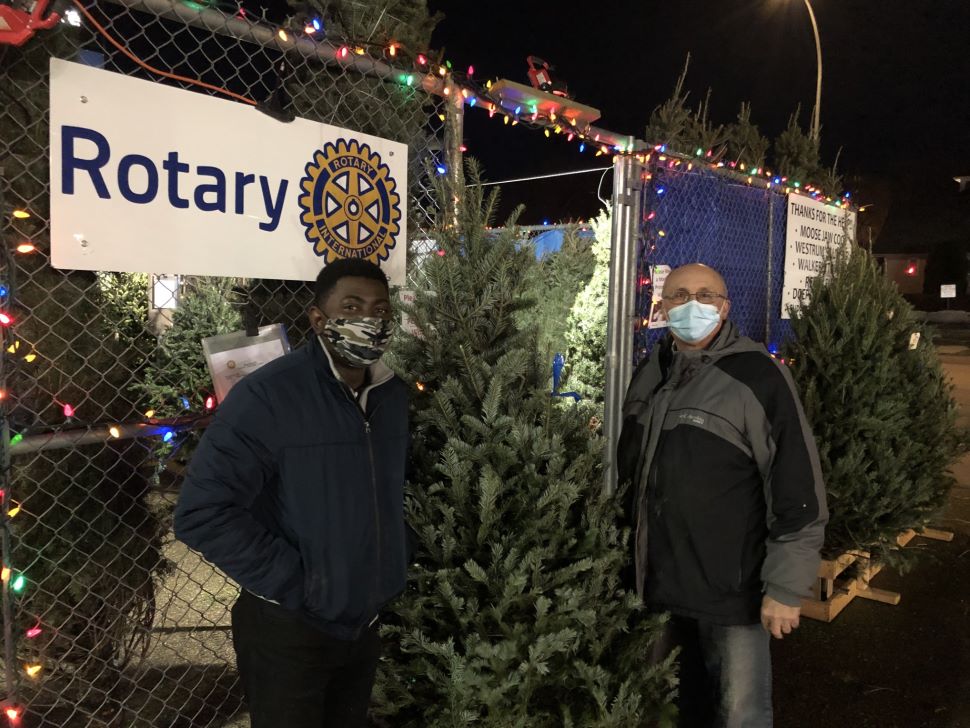 Yule be sorry if you miss it: Rotary Club Christmas tree sale begins soon - DiscoverMooseJaw.com ...